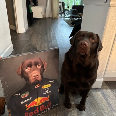 Red Ball, Formula Racing Car, F1 Driver Team Pet Portrait, Custom Dog ...