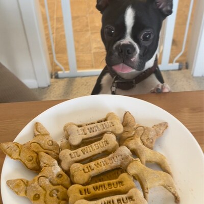 Boston Terrier Cookie Cutter Set Boston Terrier Gift great Gift for ...