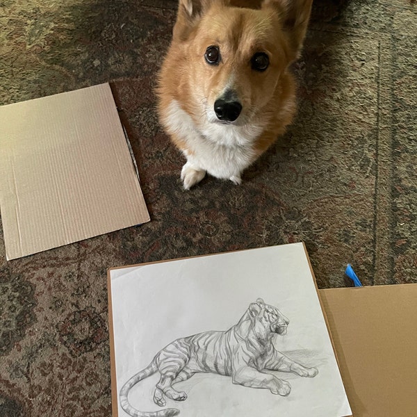 Focused Feline ORIGINAL DRAWING - Etsy