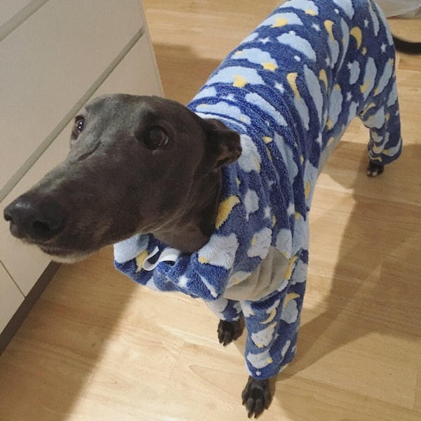 Large Dog Pajamas Pattern Size 4XL, Sewing Pattern, Dog Clothing ...