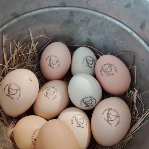 CUSTOM Egg Stamp With Initials - Mini Stamper for Eggs - Farm Stand ...
