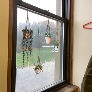 Illustrated Hanging Plants Window Stickers Reusable No Adhesive Double ...