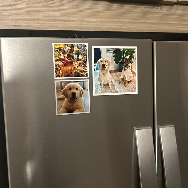 Customizable Picture Magnets for Gifts, Home & Office | Personalized ...