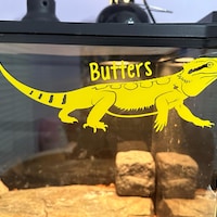 Bells Phase Lace Monitor Customizable Decal, Gift for Reptile and Snake ...