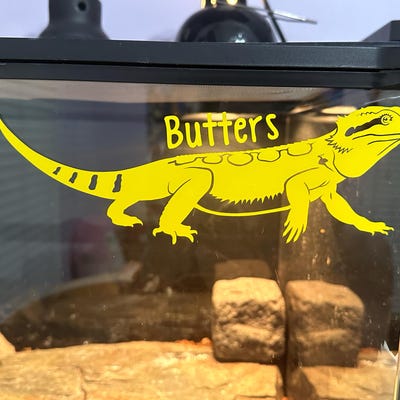 Crested Gecko Guy Hooded Sweatshirt, Crested Gecko Hoodie, Crested ...