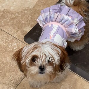 Preppy Pink Small Dog Ruffle Harness Made in USA Dog | Etsy