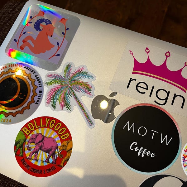 Seashell Greeting Cards-watercolor Beach Cards-beach Note Cards-shell ...