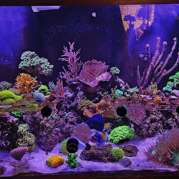 7-hole Torch Tower – Fragrocks Premium Coral Display | Artificial Frag ...