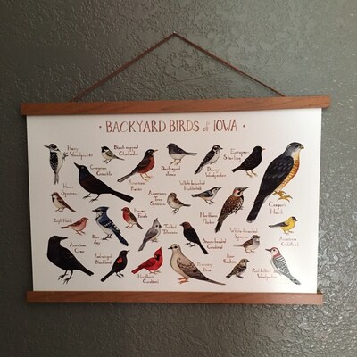 Iowa Backyard Birds Field Guide Art Print / Watercolor Painting Print ...