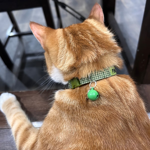 Hipster Jean Cat Collar Personalized, Hipster Denim Personalized Cat ...