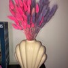 RAINBOW Dried Sago Palm Leaves 1st, Multicolor, Natural Dry Flower Home ...