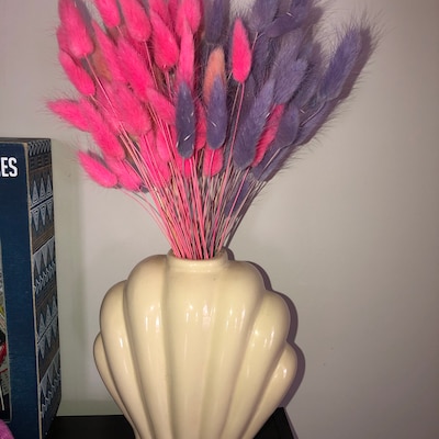 RAINBOW Dried Sago Palm Leaves 1st, Multicolor, Natural Dry Flower Home ...