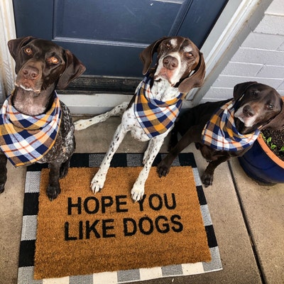 Dog Doormat Funny Dog Door Mat Cat Welcome Mat Rude - Etsy