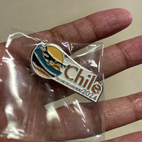 JW Pins. 2024 JW Special Convention Pins Lyon Declare the Good News - Etsy