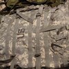 USGI Military ACU Molle II Improved Rucksack / Large Field Pack Set ...
