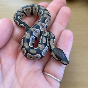 Customizable Ball Python Miniature / Figure / Sculpture / Necklace ...