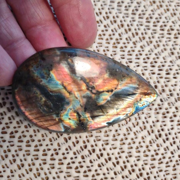 Natural Petrified Palm Root Fossil Smooth Cabochon Loose Gemstones ...