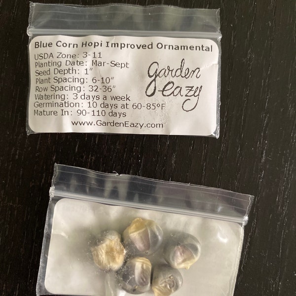 Blue Corn Seeds - Organic, Heirloom, Open Pollinated, Non GMO - Grow ...