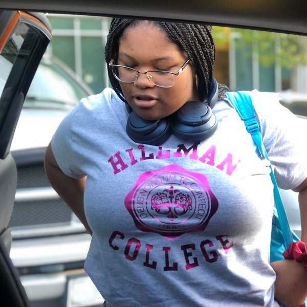 Hillman College Digital Download • A Different World Iron-on Transfer ...