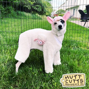 Alien Dog Costume, Toy Story Alien Dog Outfit, Halloween Dog Outfit ...