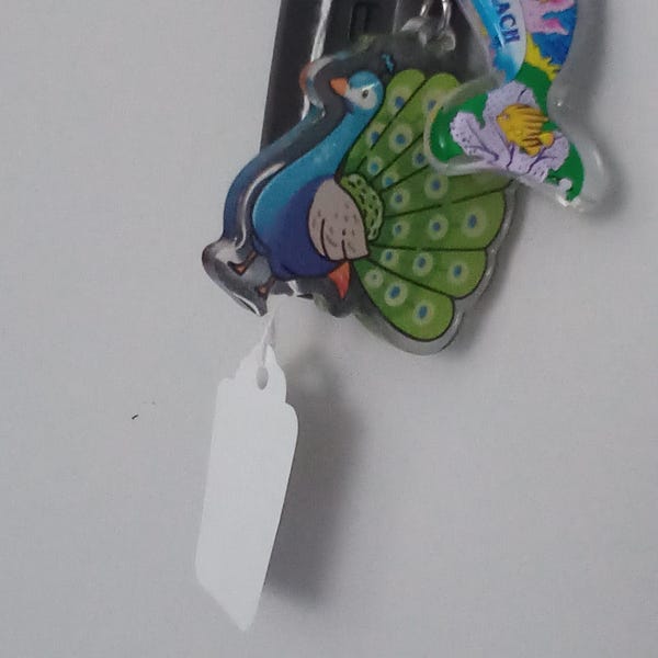 Mallard Duck Acrylic Keychains - Etsy