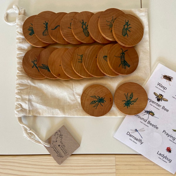 Wooden Matching Memory Game (insects) - Essential Montessori - Etsy