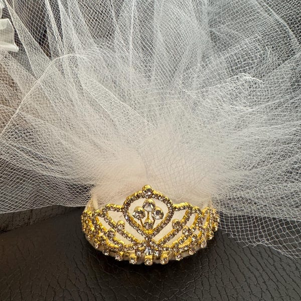 Gold Color Crown for Dog or Cat /princess Dog Crown / Crown for Dog ...