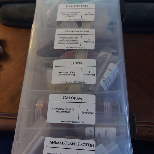 4 Pc Mini Lotus Pod Climbers - Tank Enrichment - Etsy