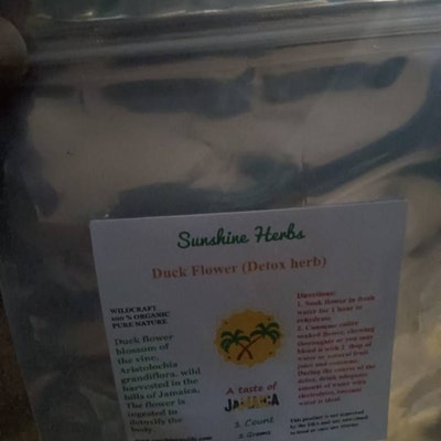 Jamaican Duck Flower Capsules Aristolochia Grandiflora Fresh Harvest ...