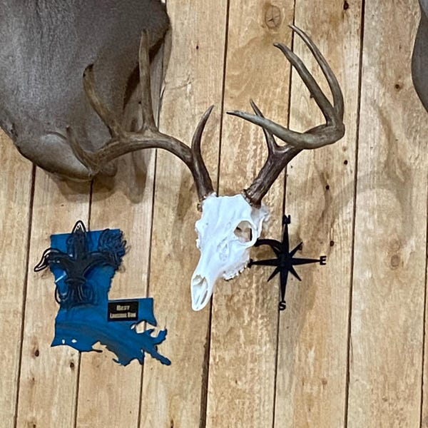 European Skull Mount Hanger - Etsy