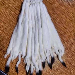 10 Real Nice Large Sized Red Fox Claws Great for Crafts - Etsy