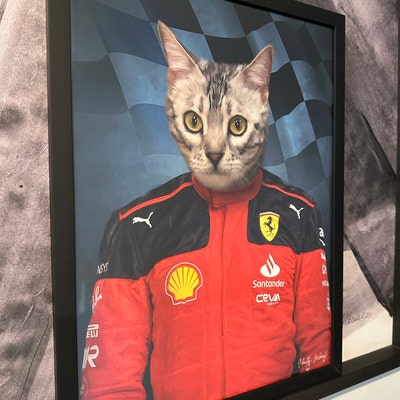 Mercydes, Formula Racing Car, Funny Pet Lover Gift, F1 Driver Team Pet ...
