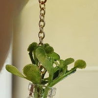 Propagation Earrings Mini Plant Jewelry Gifts for Plant Lovers and Moms ...