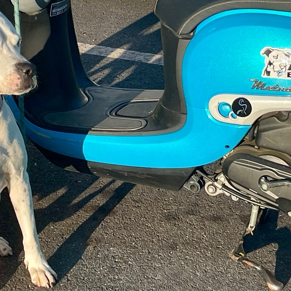 Pittie Edition Car Badge, Black and White - Etsy