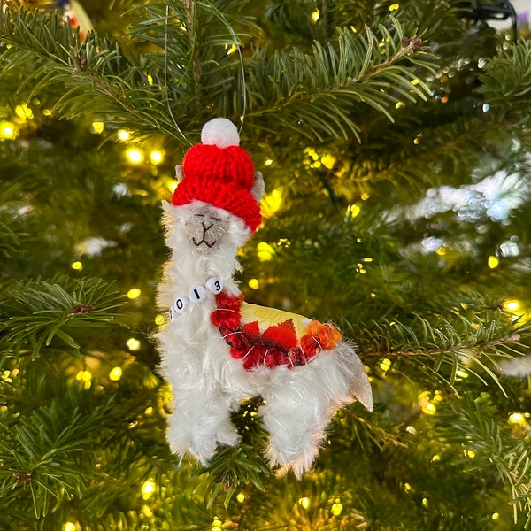 Buckeye Nuts 3/4 Lb 40 Large Size, Real Dried Buckeyes Harvested in ...