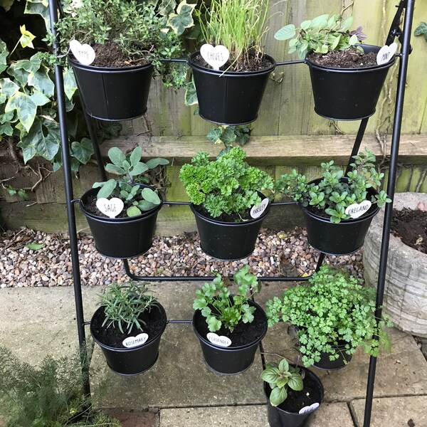 Card Vinyl Decal, Wedding Post Box Vinyl, Vinyl for Wishing Well, Vinyl ...