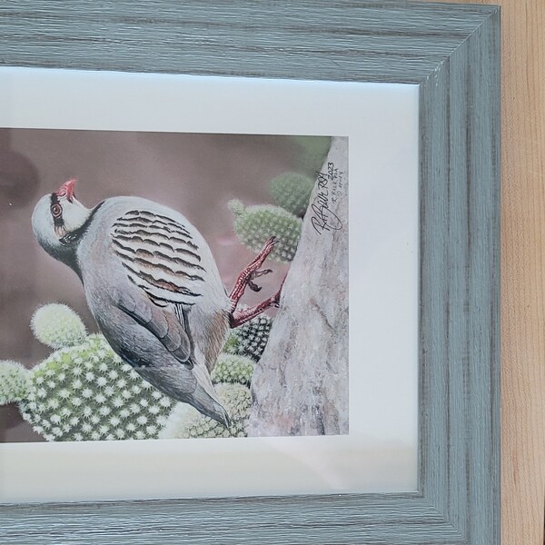 Arabian Horse Art Print arabian Stallion 8 X 10 Inch Giclee by Artist ...