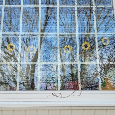 Preschool or Kindergarten Rainbow Banner/classroom - Etsy