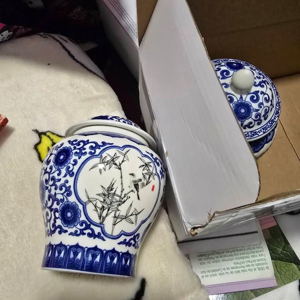 Large Rose of Jericho Resurrection Plant Rosa De Jerico Reviving House ...