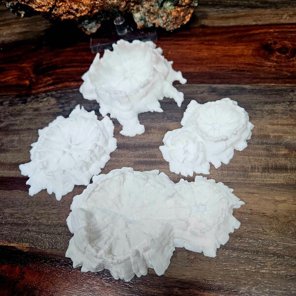 Winterdale Citadel Walls Modular Medieval Castle Wall Set 15mm 28mm ...