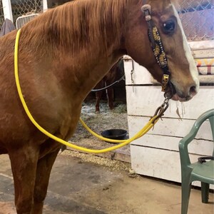 Bit Hobble Curb Strap Chinstrap Horse Tack Paracord Horse - Etsy