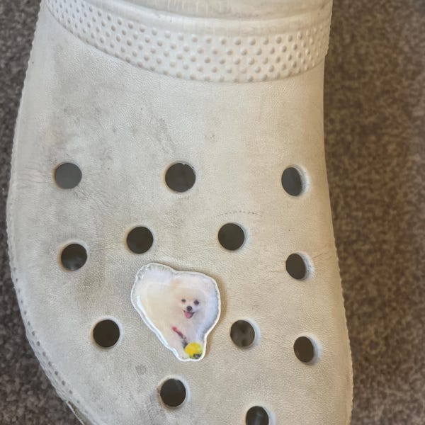 LGBTQIA+ Flag Heart Shoe/clog Charm, Cute Accessory, Custom Clog Charm ...