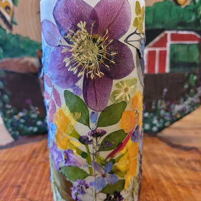 60 Pc Pressed Flowers Anemone Buttercup Periwinkle Daffodil Lenten Rose ...