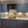 Kitchen Splashback, Tempered Glass Backsplash, Wall Panel Behind Cooker ...