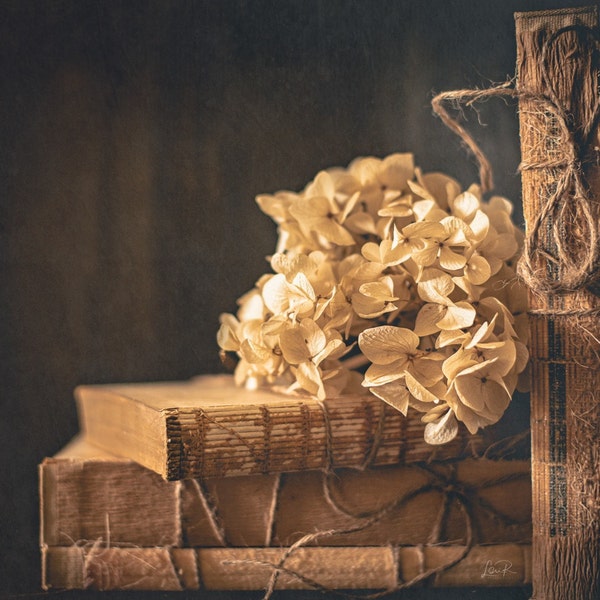 10 Old Book Covers, Ephemera Lot, Decorative Book Cover, Crafts Supply ...