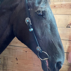 Pair Horse Head Bridle Loop Conchos Stainless Headstall - Etsy