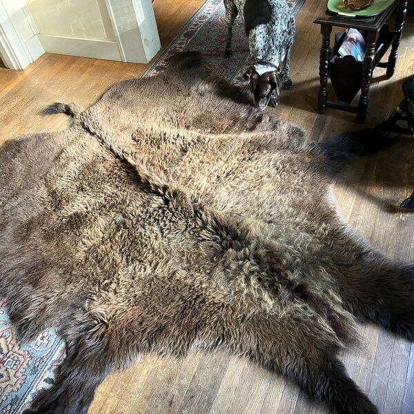 Buffalo / Bison Rug & Hide blanket and Garment Quality extra Large - Etsy