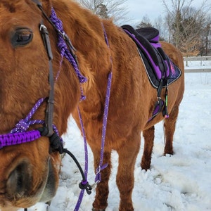 Bit Hobble Curb Strap Chinstrap Horse Tack Paracord Horse | Etsy