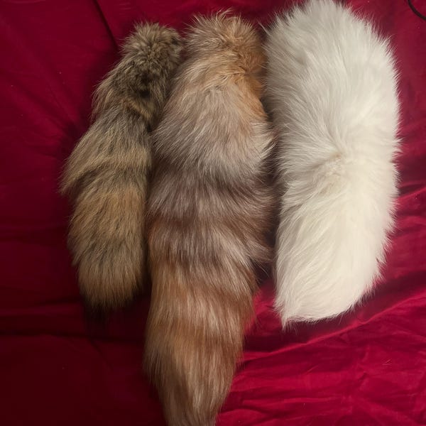 XL Smokey Red Fox Tail (XL and Regular Size), Real Fox Tail, Tails for ...