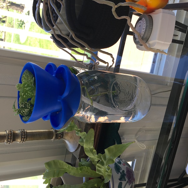 Self-watering Mason Jar Planter – Indoor Herb Gardening – Low ...